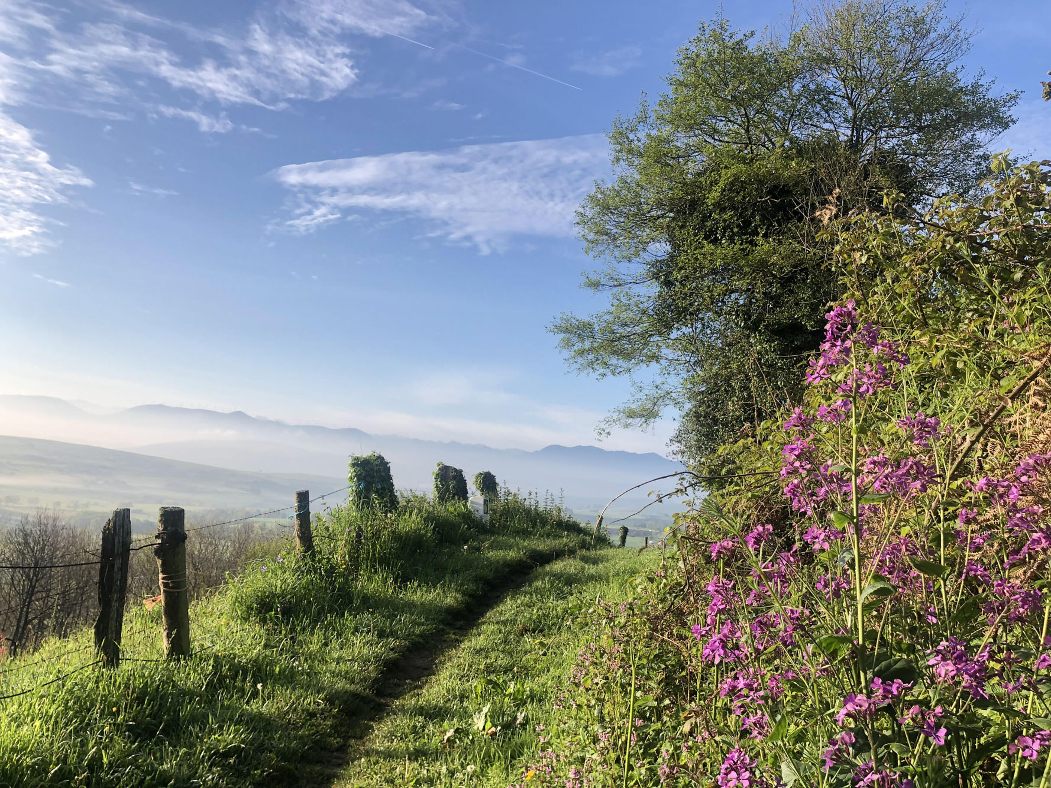 Camino Primitivo Original Camino De Santiago For Active Hikers